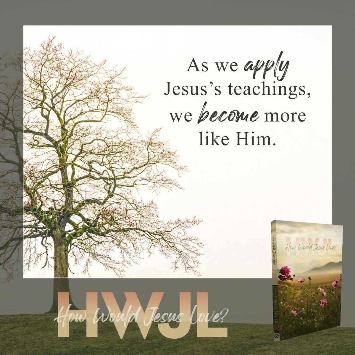 As we apply Jesus's teachings, we become more like Him. | Lucid Books